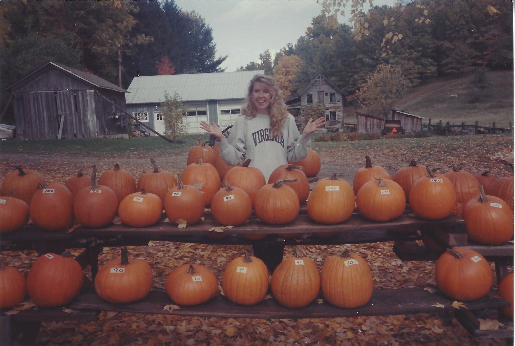 So Many Pumpkins! - Denise Roosendaal